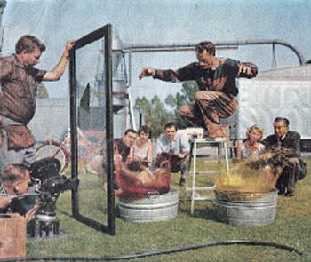 Meador_Joshua_AAA_Bio